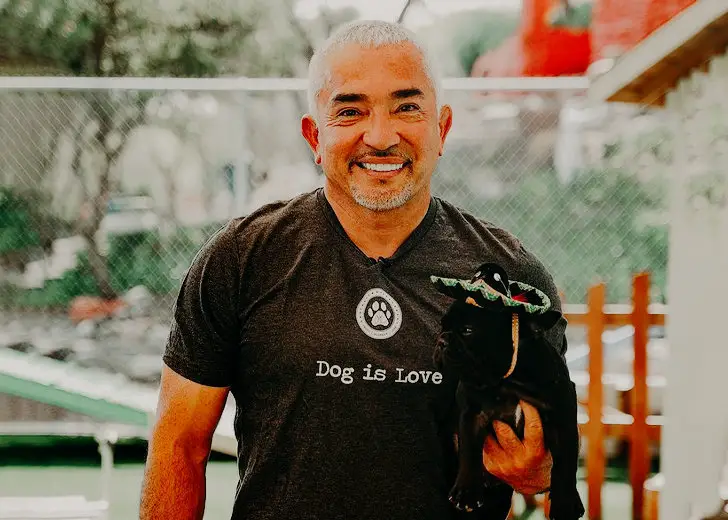 Know Cesar Millan's Married Life, Family, Wife, Net Worth, Gay & Dog ...