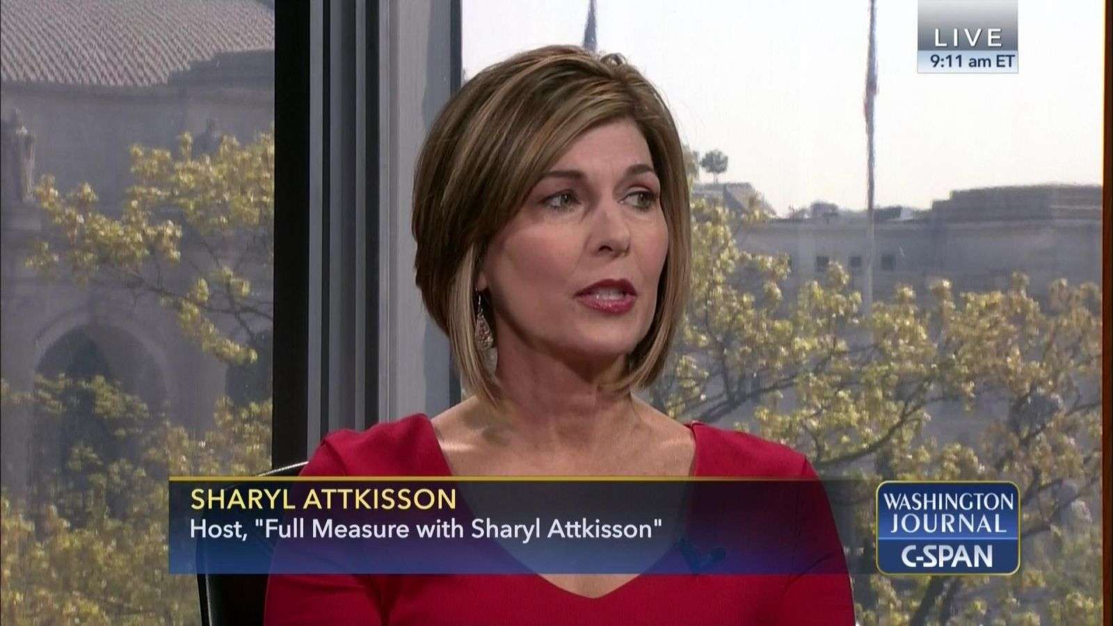 Sharyl Attkisson Married With Husband - Spouse Through Hurdles Of Career